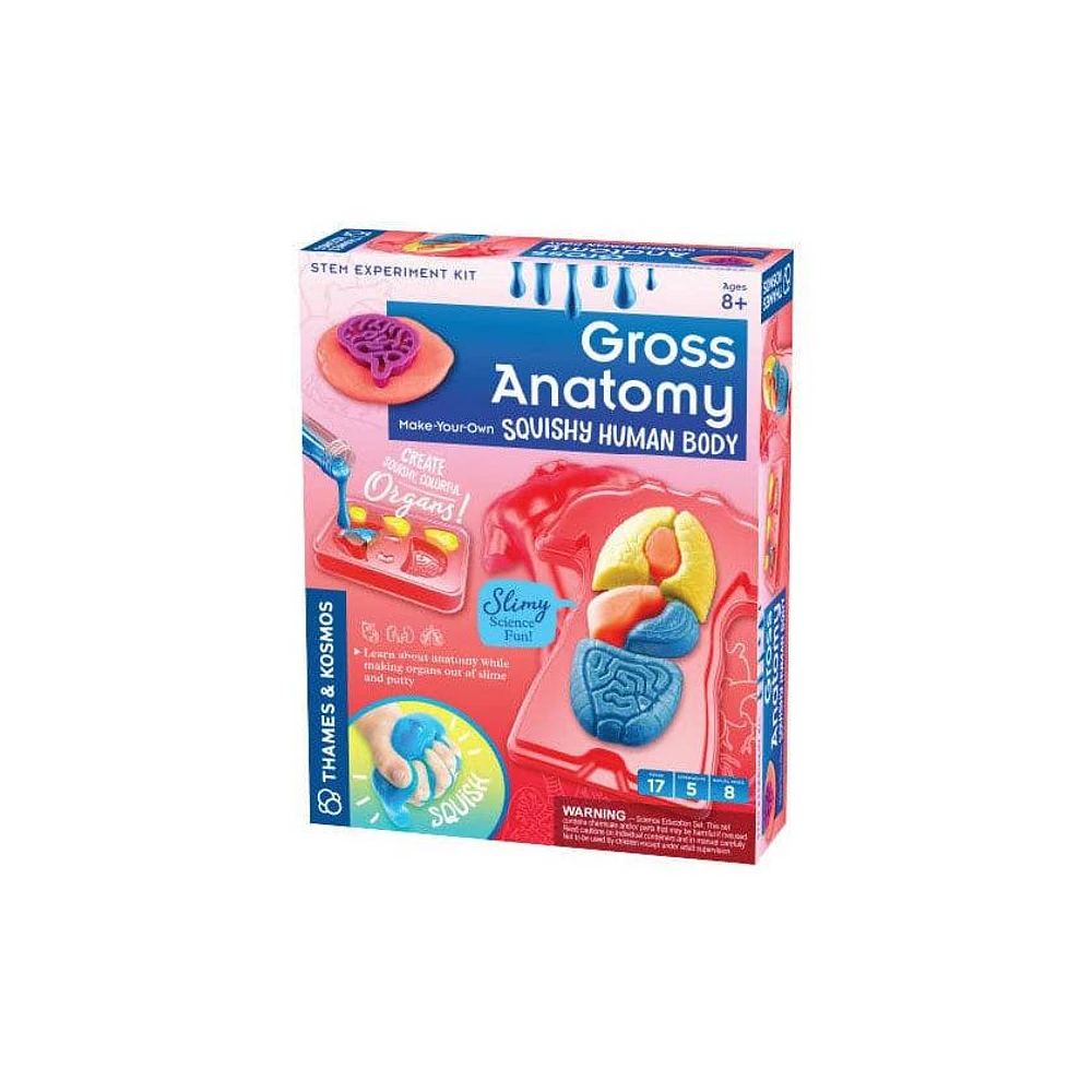 Thames & Kosmos Gross Anatomy: Make-Your-Own Squishy Human Body at Mall ...