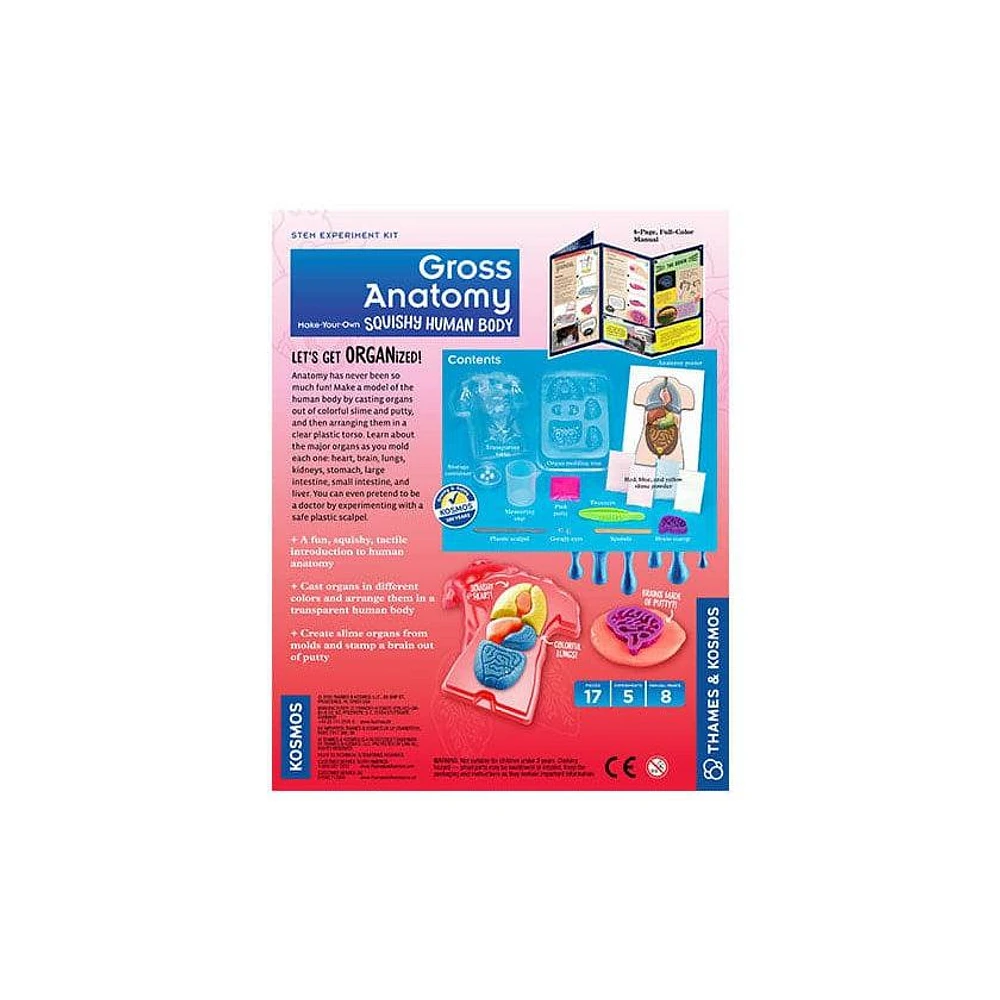 Thames & Kosmos Gross Anatomy: Make-Your-Own Squishy Human Body at Mall ...