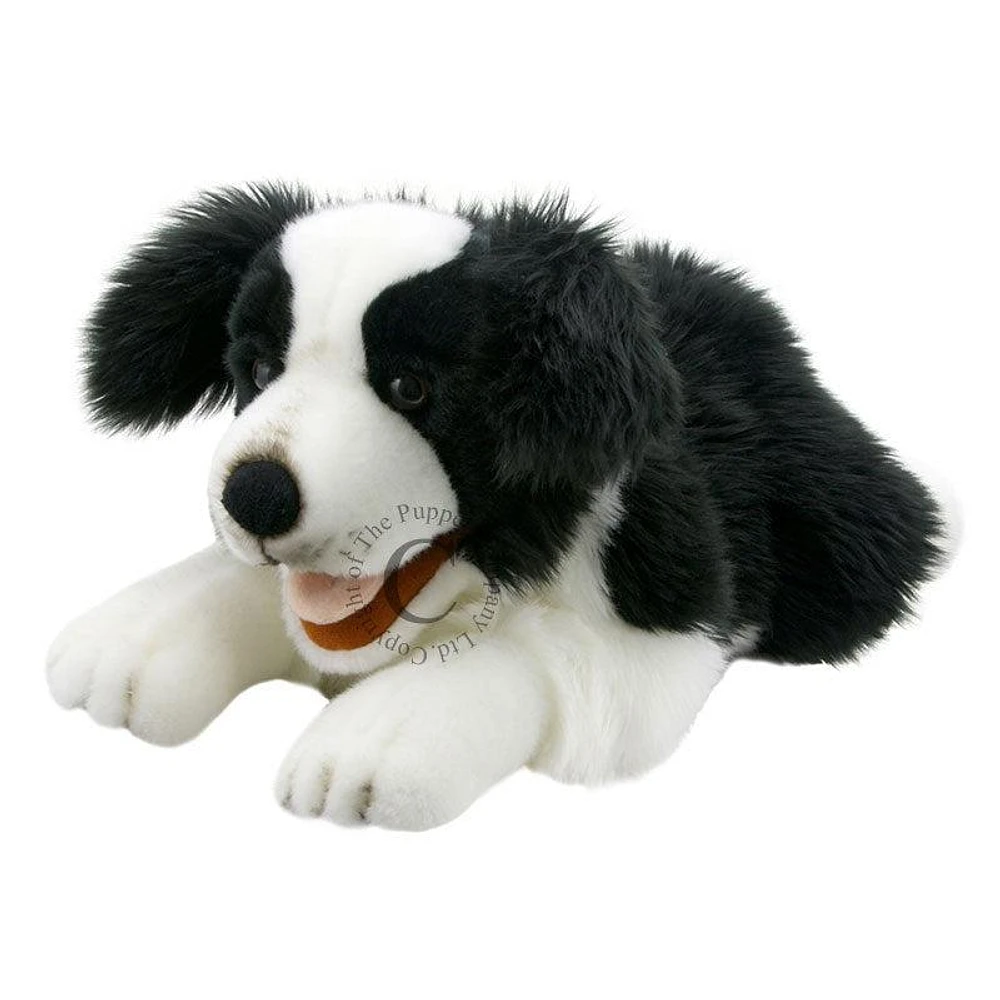 The Puppet Company Full Bodied Puppet - Playful Puppy Border Collie at ...